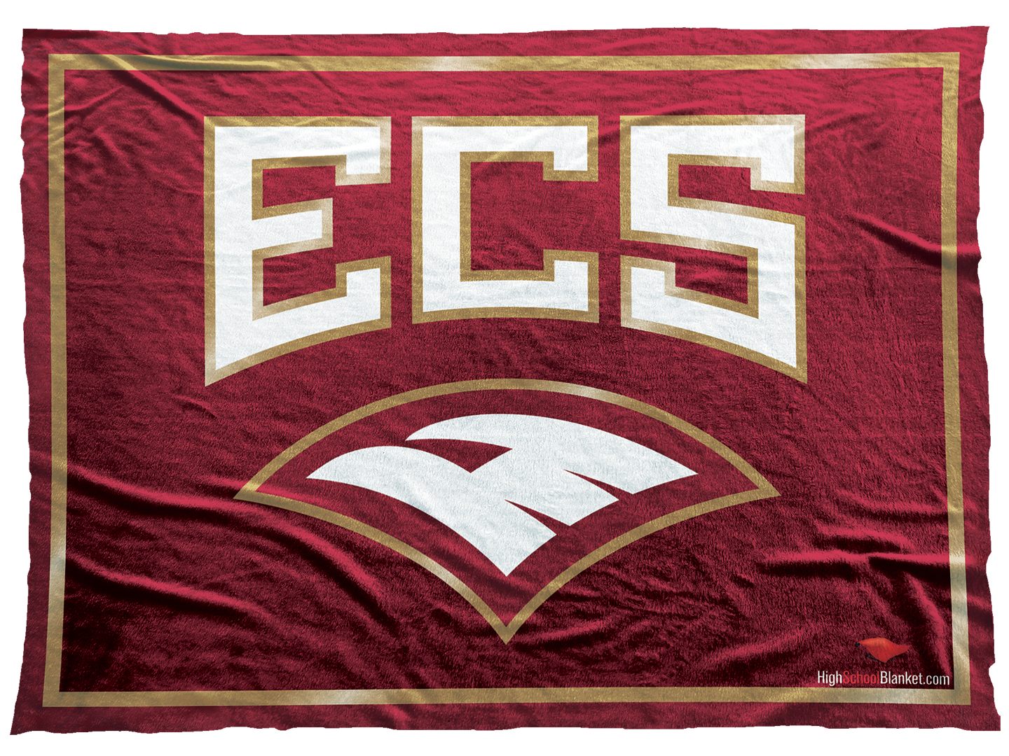 ecs eagles logo